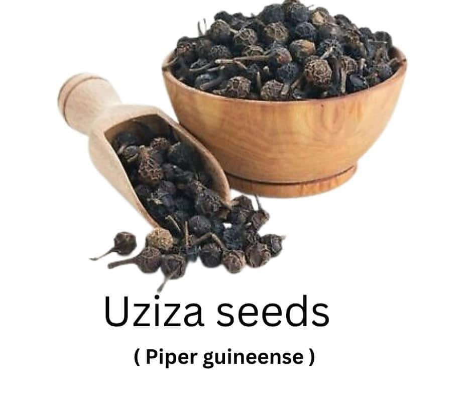 Uziza seed,Ashanti Pepper,Benin pepper,Guinea pepper,Esoro wisa – G ...